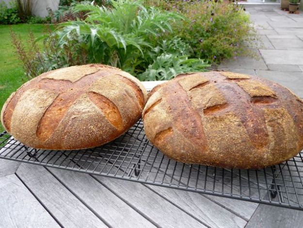 Jeffrey Hamelman’s Breads | Zeb Bakes