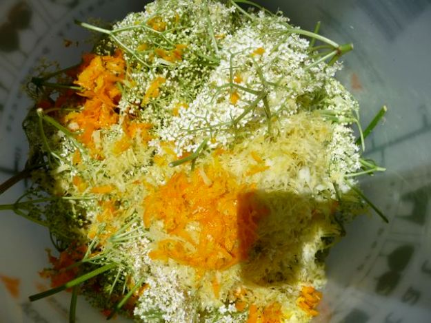 elderflower cordial | Zeb Bakes