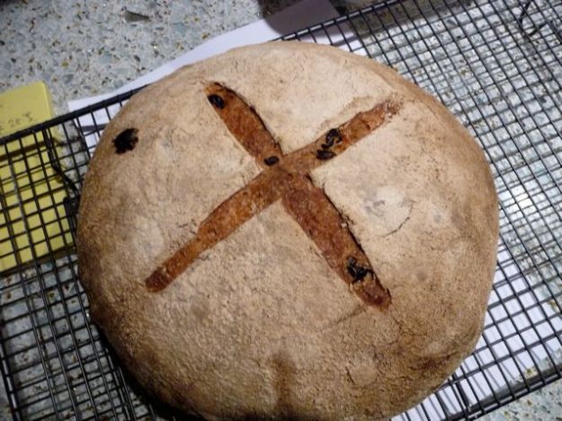 Hamelman’s Golden Raisin Bread with Levain | Zeb Bakes