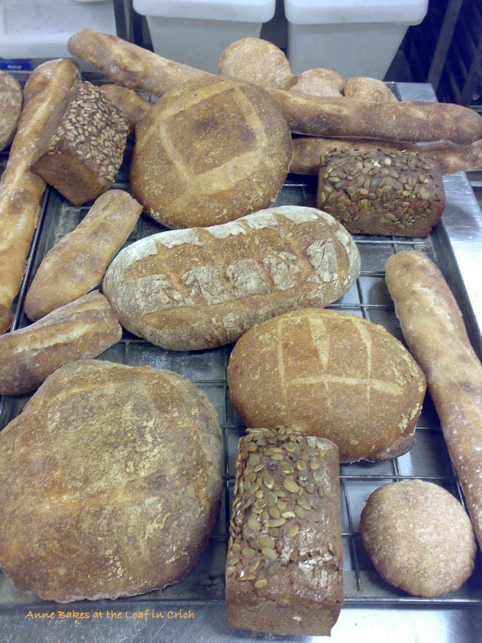 Sourdough at The Loaf in Crich | Zeb Bakes
