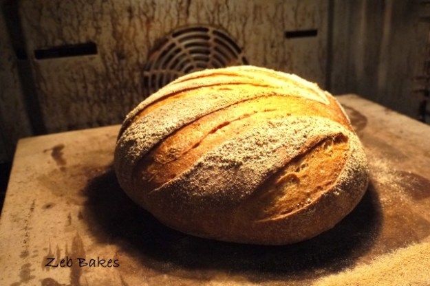 Weekly Sourdough Bread | Zeb Bakes