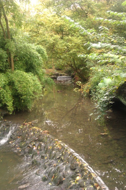 Where Zeb Walks in Badock’s Woods | Zeb Bakes