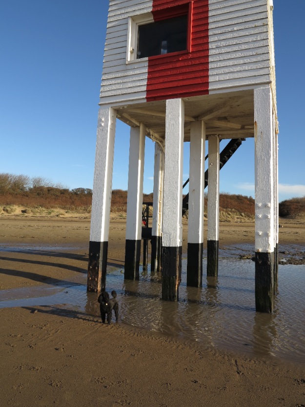 Christmas Day Walk on Burnham Beach | Zeb Bakes