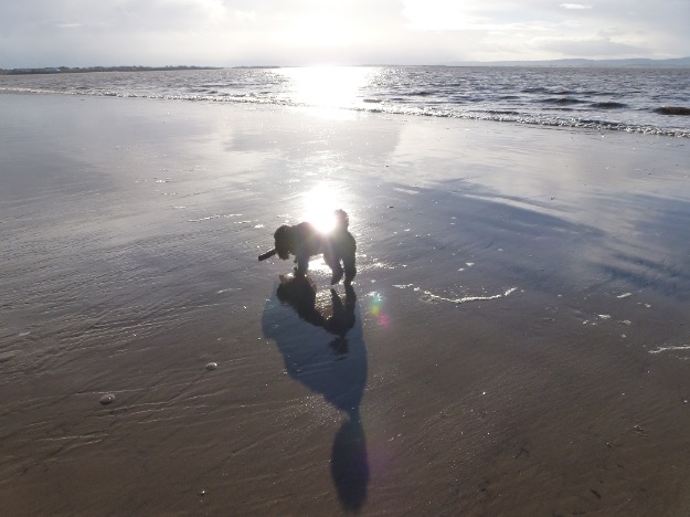 Christmas Day Walk on Burnham Beach | Zeb Bakes