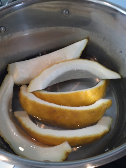 Candied Citron Experiment | Zeb Bakes