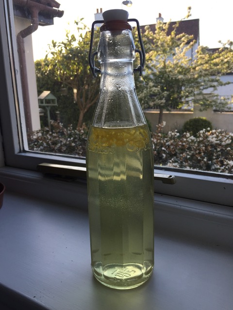 Candied Citron Experiment | Zeb Bakes